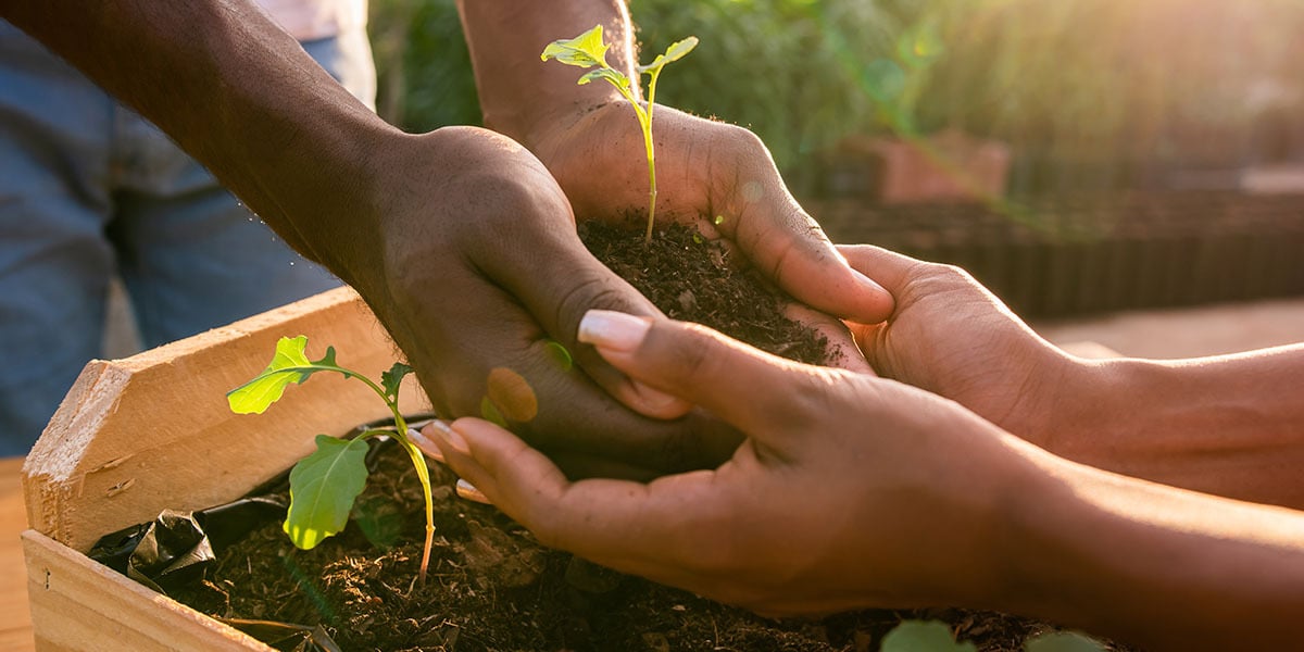 Conheça o curso de Agronomia EAD
