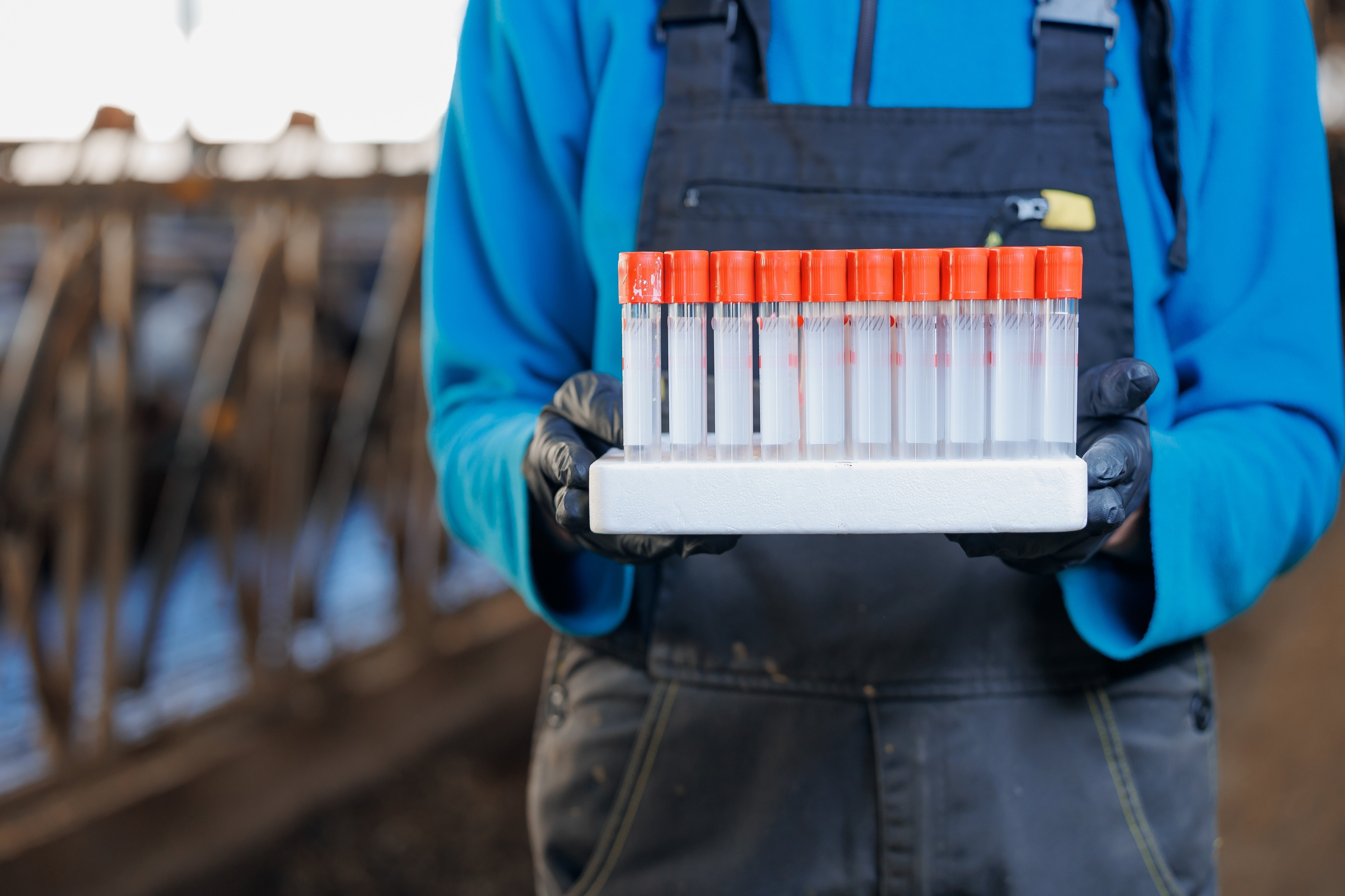 Zoonoses em foco: O que é Mpox e como os futuros veterinários podem ...